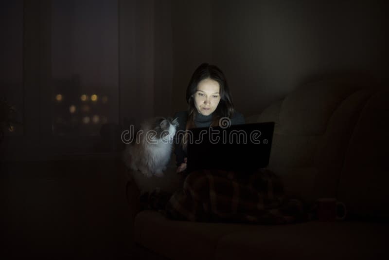 Girl and Cat Working at the Computer at Night Stock Photo - Image of ...