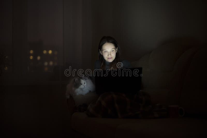 Girl and Cat Working at the Computer at Night Stock Image - Image of ...