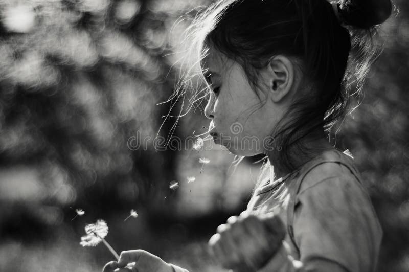 Black And White Dandelion Blowing Photography Black And White Dandelion Blowing Photography