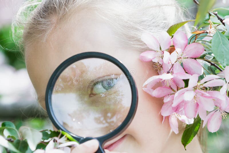 Child Looking at Flowers through Magnifying Glass Stock Photo - Image ...