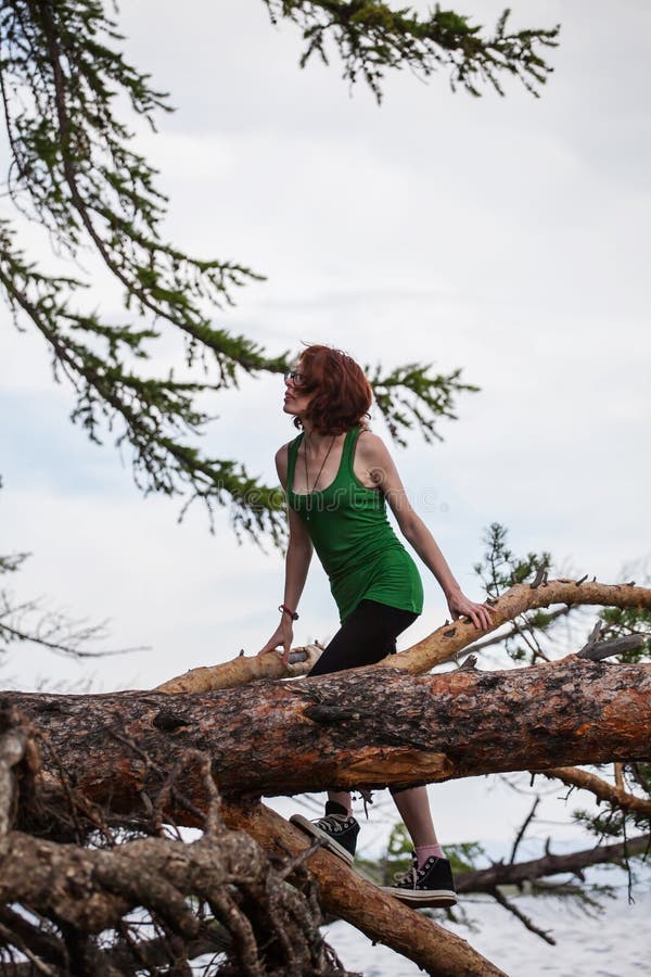 Girl Climbing Tree stock photo. Image of stands, climbs - 25870672