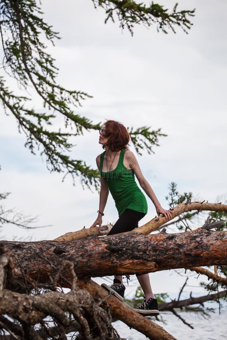7,976 Girl Climbing Tree Stock Photos - Free & Royalty-Free Stock ...