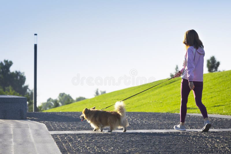 Girl with Corgi Dog for a Walk in Park Stock Photo - Image of freedom ...