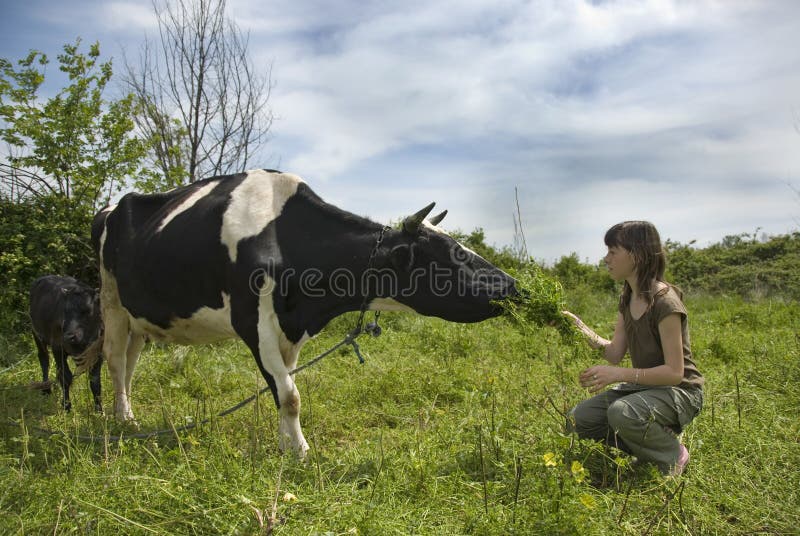 The Girl and the Cow stock photo. Image of woman, lithuania - 10268532