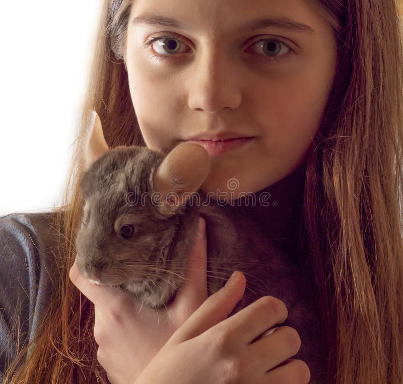 Girl with Cute Little Chinchilla Stock Photo - Image of animal, hand ...