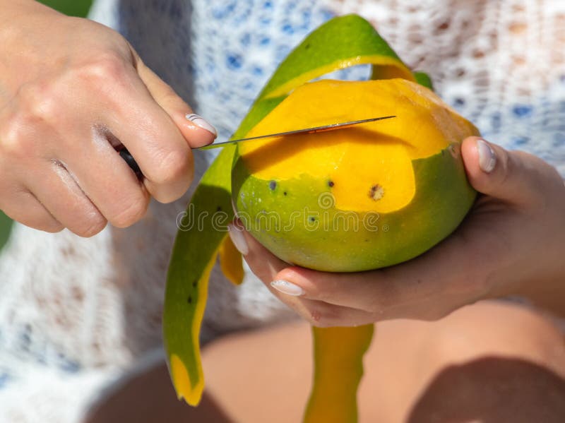 Girl Cuts a Mango with a Knife on Nature Stock Photo - Image of ...