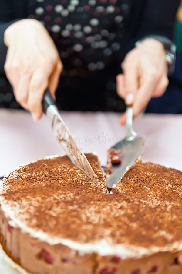 Cutting cake slice stock image. Image of slice, cake - 86622261