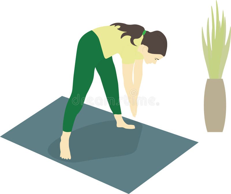 The Girl Does Gymnastics and Bends on the Mat Stock Vector ...