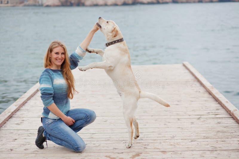 Dog Breed Golden Retriever Giving a Hug To His Owner. Stock Photo ...