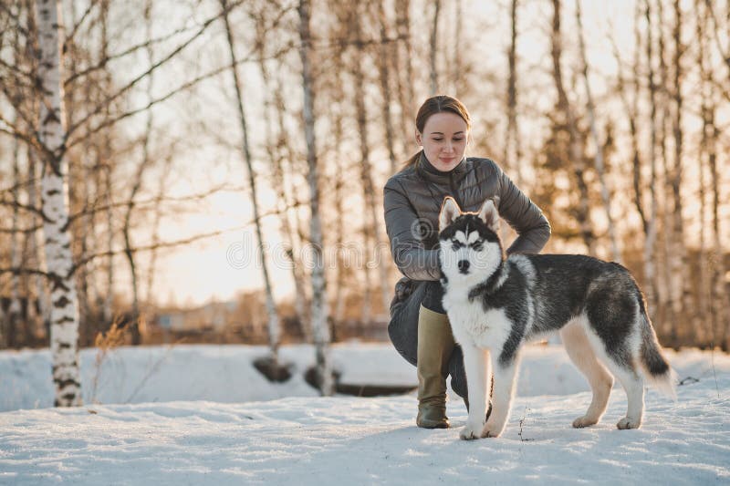 Girl and Dog of Breed of the Husky 2549. Stock Photo - Image of nature ...
