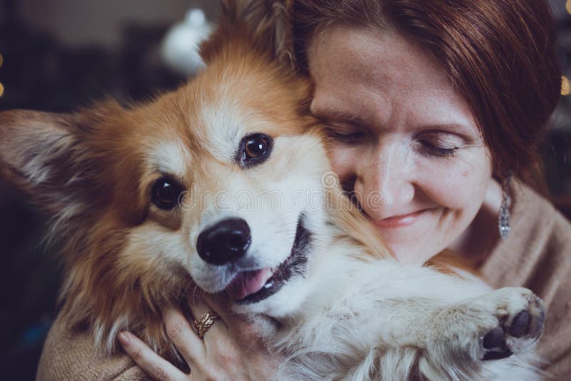 Girl and dog embrace stock image. Image of leisure, lovely - 203048645