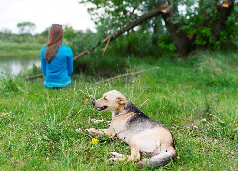 Girl Dog Have Rest Grass River Stock Photos - Free & Royalty-Free Stock ...