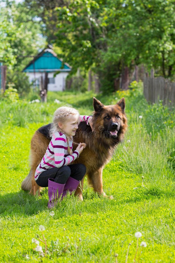 Girl and dog stock image. Image of outdoors, portrait - 71293749