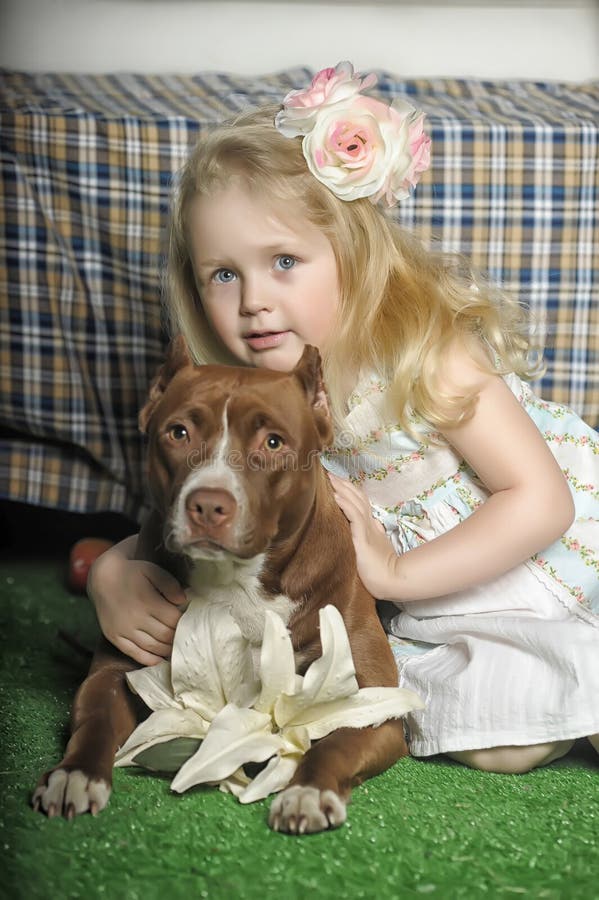 Girl with dog stock image. Image of breed, grass, friendship - 37211477
