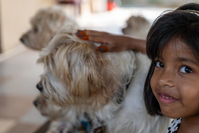 Girl and Dogs stock image. Image of petting, daytime - 347323175