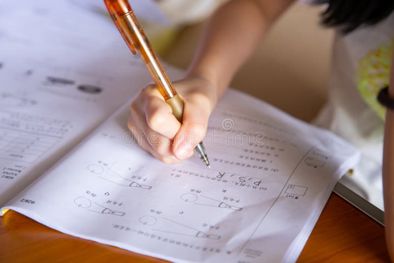 Girl doing her school work stock image. Image of lecture - 181008983