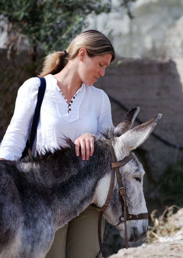 The Girl with a Donkey stock image. Image of farm, girl - 8280141