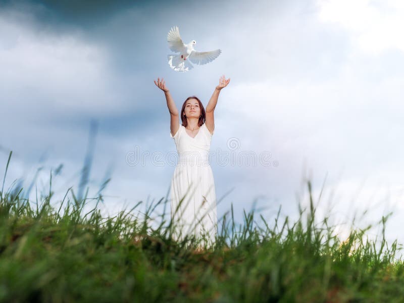 Girl with the dove stock photo. Image of outdoors, symbolizing - 202218960