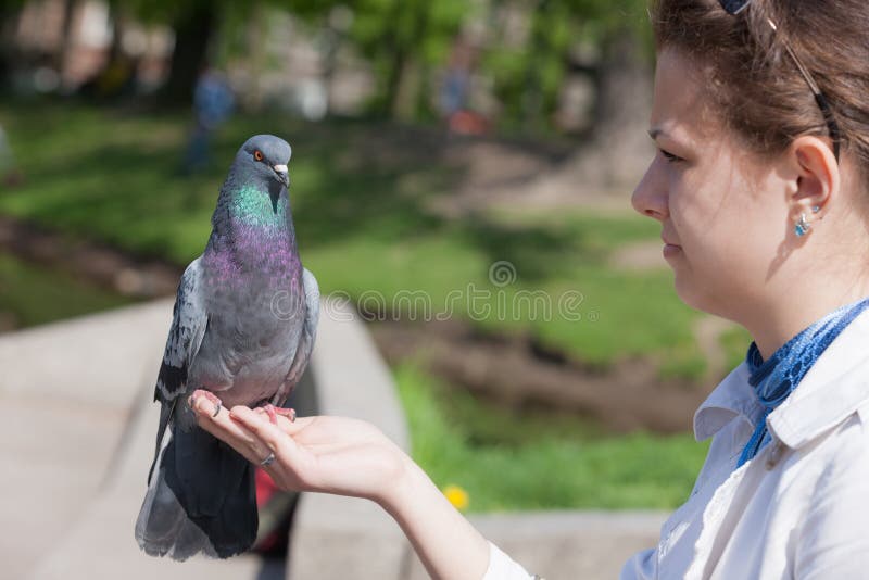 Girl and dove stock photo. Image of green, women, animals - 62044004