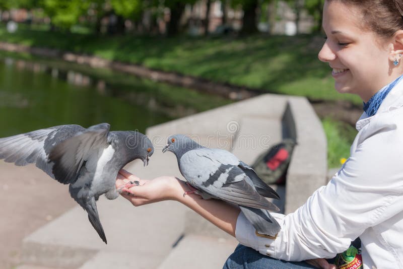 Girl and doves stock image. Image of beautiful, female - 62043995