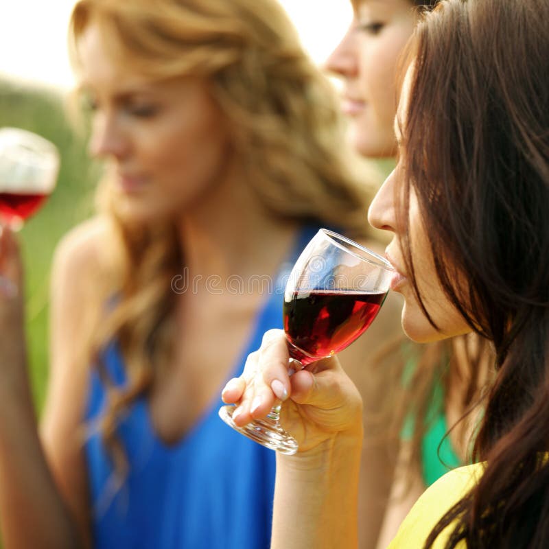 Men drink wine in nature stock photo. Image of white - 98253088