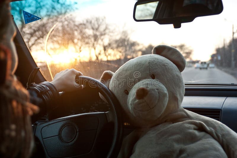 Girl drive stock image. Image of speed, vehicle, trip - 23285089