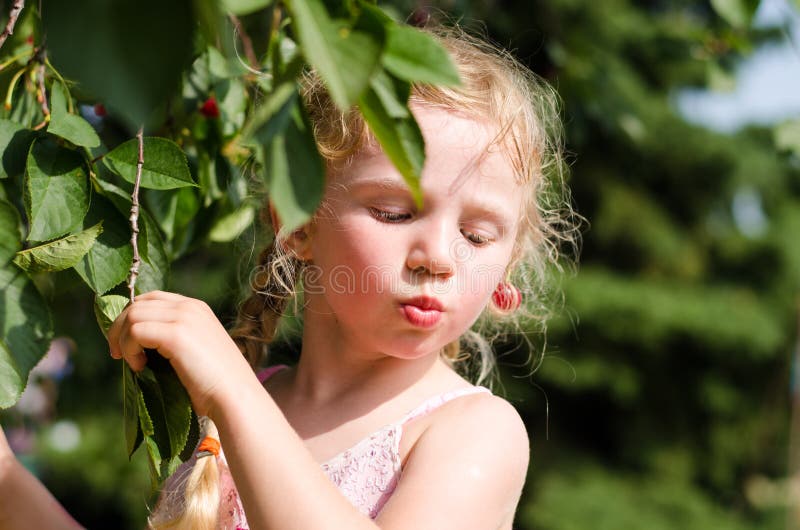 Girl eating cherries stock photo. Image of cherry, healthy - 55518276