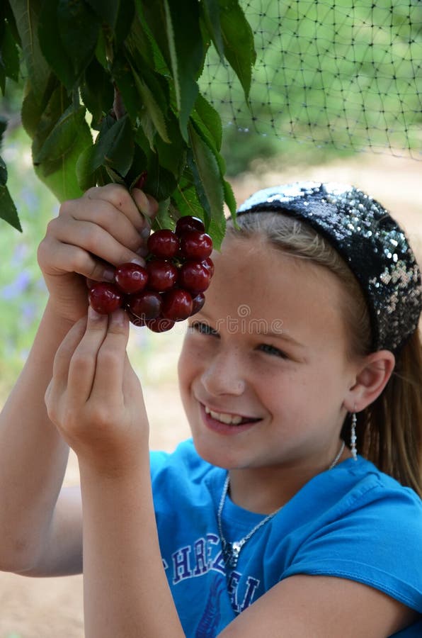 Girl Eating Cherries Off of the Tree Stock Image - Image of baskets ...