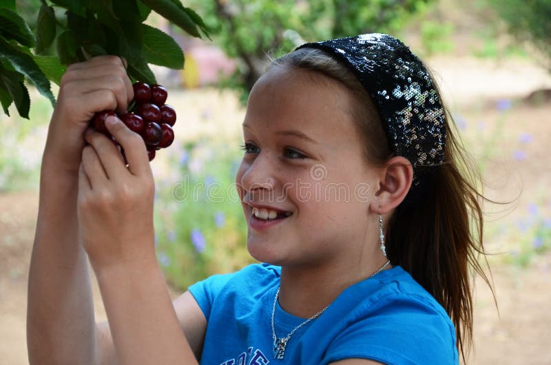 Girl Eating Cherries Off Of The Tree Picture. Image: 20129612