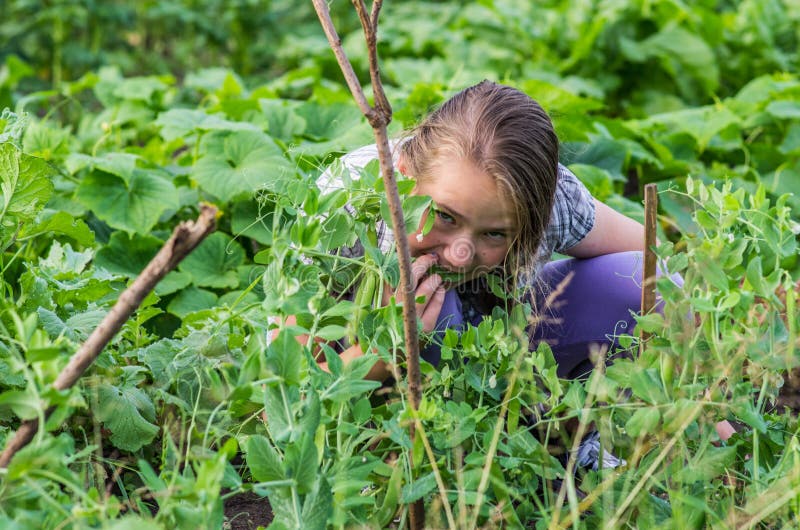 Girl eating leaf stock photo. Image of female, beautiful - 42866258