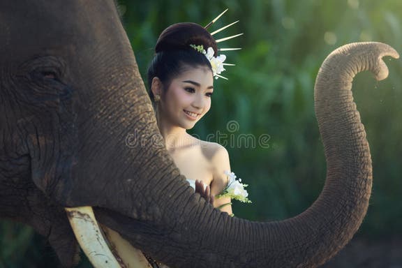 The girl with elephant stock image. Image of smiling - 62102477
