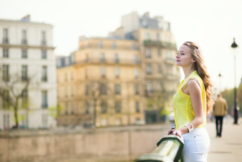 Fly stock photo. Image of outside, eiffel, tower, york - 7558148