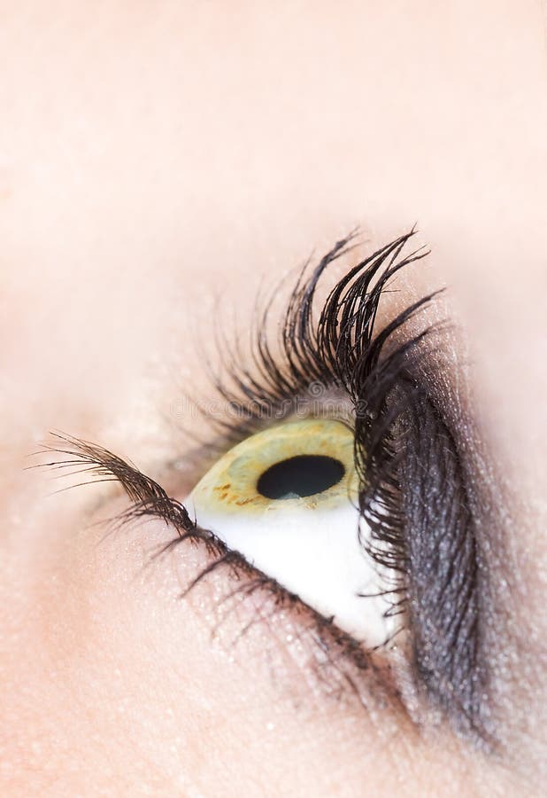 Girl eye stock image. Image of beauty, optician, model - 14075469