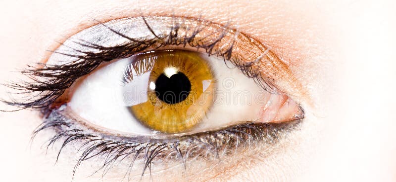 Girl eye stock photo. Image of model, close, female, beautiful - 14485278