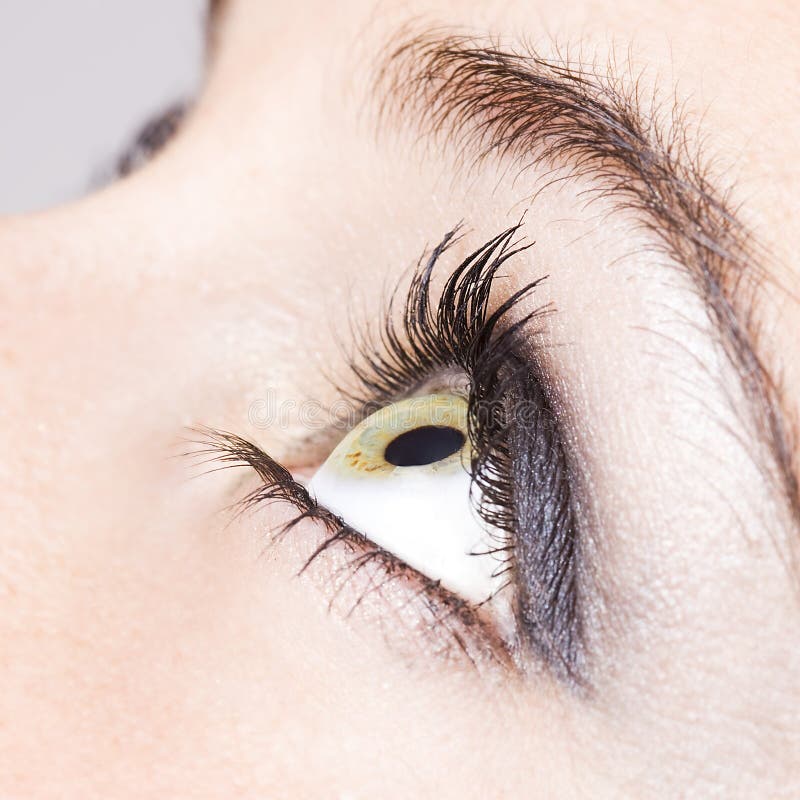 Girl eye stock image. Image of caucasian, iris, beautiful - 14635837