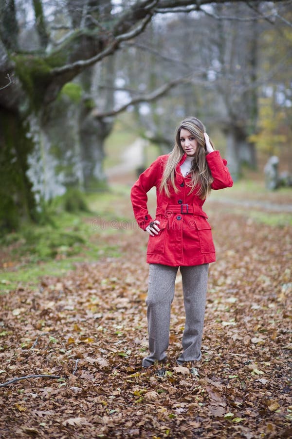 Girl fall forest stock photo. Image of pretty, nature - 11911704
