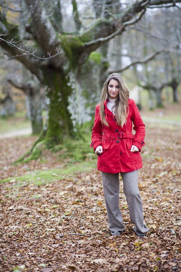 Girl fall forest stock image. Image of pretty, wood, autumn - 12113079