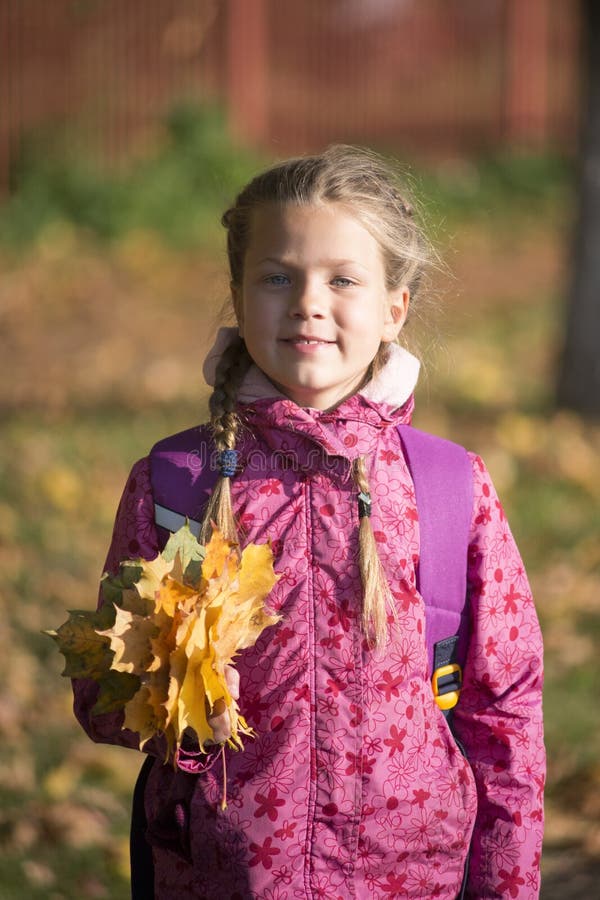 Girl with fall leafs stock photo. Image of sunny, vertical - 73689802