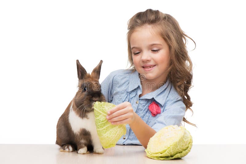 Girl Feeding Bunny with Cabbage Stock Image - Image of celebrations ...