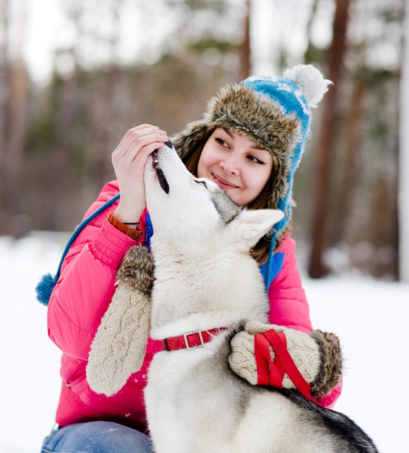 Girl feeding her husky dog stock image. Image of attractive - 53683539