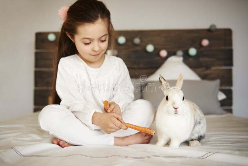 Girl Feeding Her Rabbit on the Bed Stock Image - Image of domestic ...