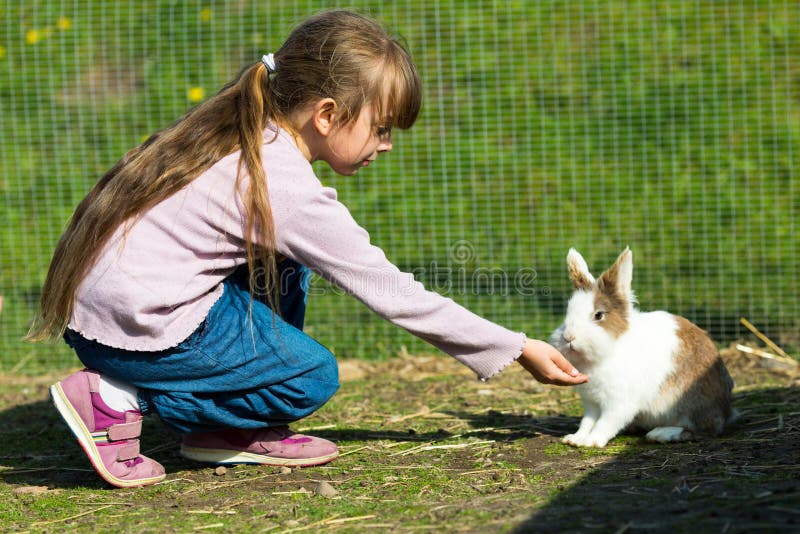Girl feeding rabbit stock photo. Image of child, kids - 41135418