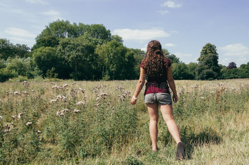 Girl in the fields stock photo. Image of wood, little - 23816898