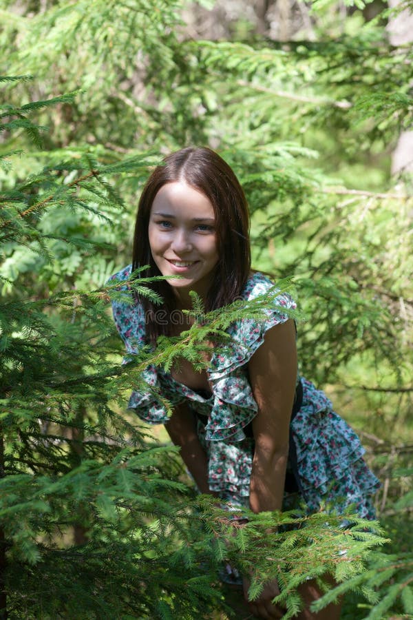Girl in fir-tree wood stock photo. Image of wood, outdoors - 20396414