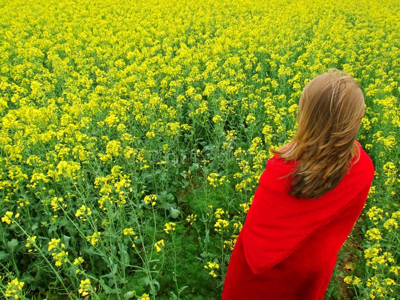 Girl in flower field stock photo. Image of meditating - 4985674