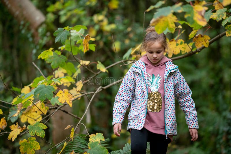 Girl in the forest. stock photo. Image of forest, aerial - 214026136
