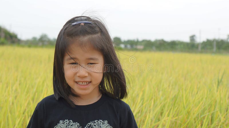 Girl in Front of Rice Field Stock Photo - Image of spring, nature: 82994690