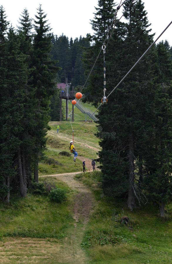 Girl Goes Down To the Zip Line Stock Image - Image of green, line ...