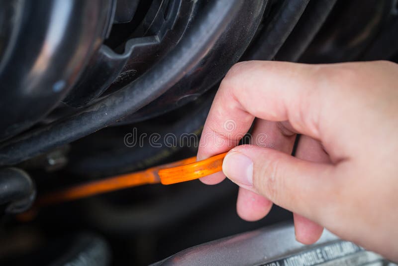 Girl Hand Check Engine Oil Level Stock Image - Image of motor ...