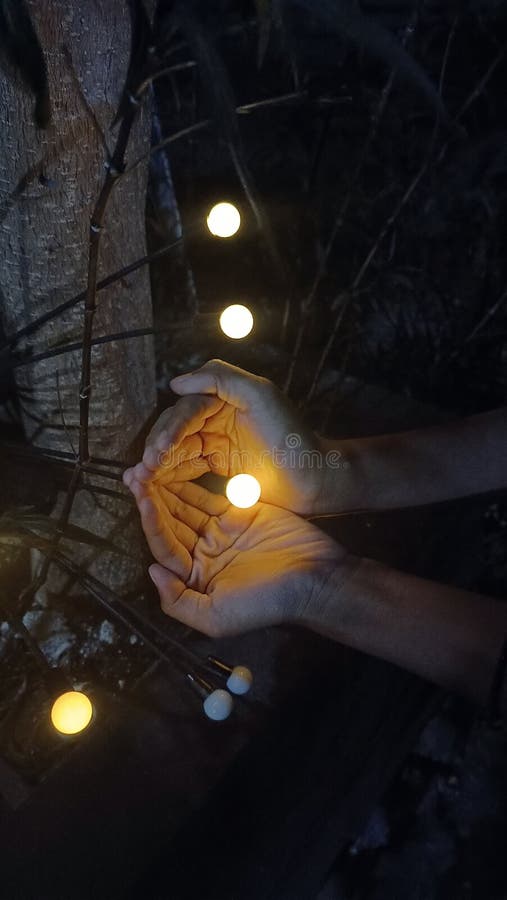 Girl Hand Holding the Lights , a Girls Hand Holding the Lamp Stock ...